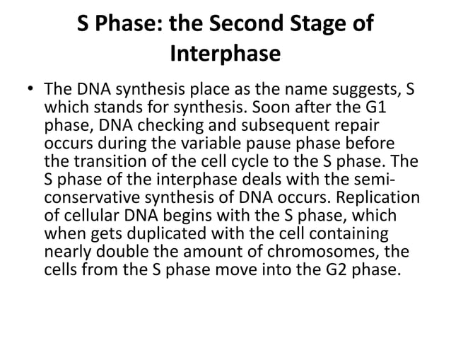 Three stages of Interphase | PPTX
