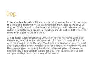 Three Things to Carefully Consider Before You Get a Dog | PPT