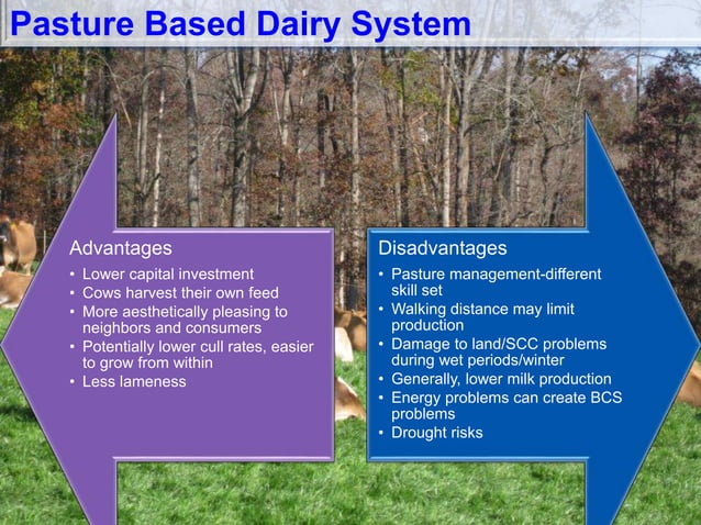 Three Top Tens for Facilities Management: Freestall, Tiestall, and ...