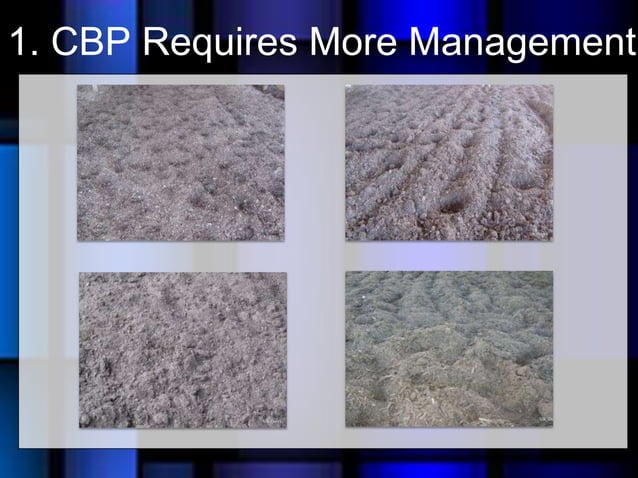 Three Top Tens for Facilities Management: Freestall, Tiestall, and ...