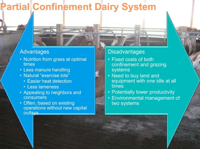 Three Top Tens for Facilities Management: Freestall, Tiestall, and ...
