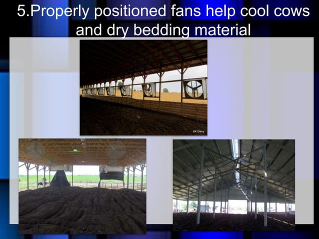 Three Top Tens for Facilities Management: Freestall, Tiestall, and ...