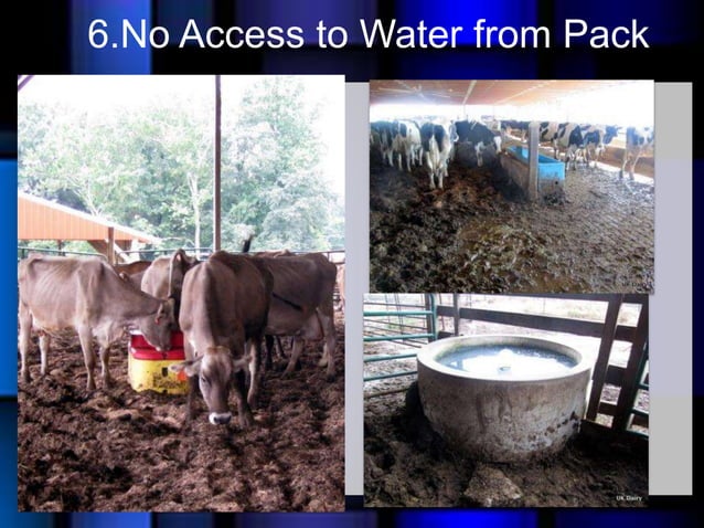 Three Top Tens for Facilities Management: Freestall, Tiestall, and ...