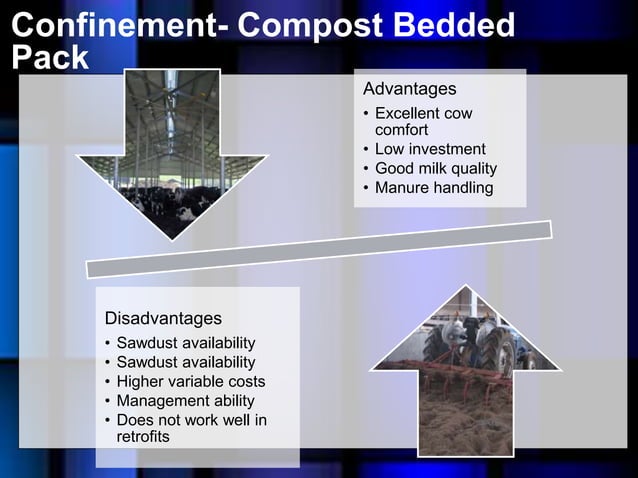 Three Top Tens for Facilities Management: Freestall, Tiestall, and ...