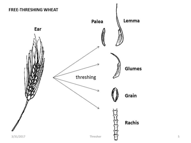 Threshing | PPTX | Agriculture | Industries