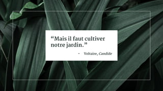 PyData Global: Thrifty Machine Learning | PPT