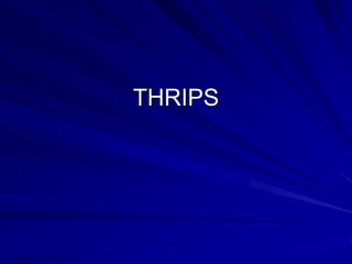 IPM - Thrips | PPT