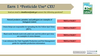 Thrips in Utah Potato Production | PPT