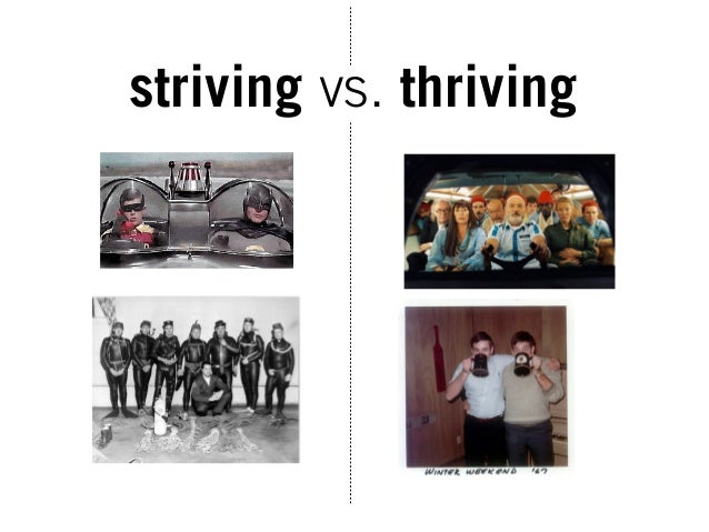 Thriving vs Striving in Creative Teams