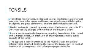 Throat, Anatomy and clinical diseases | PPTX