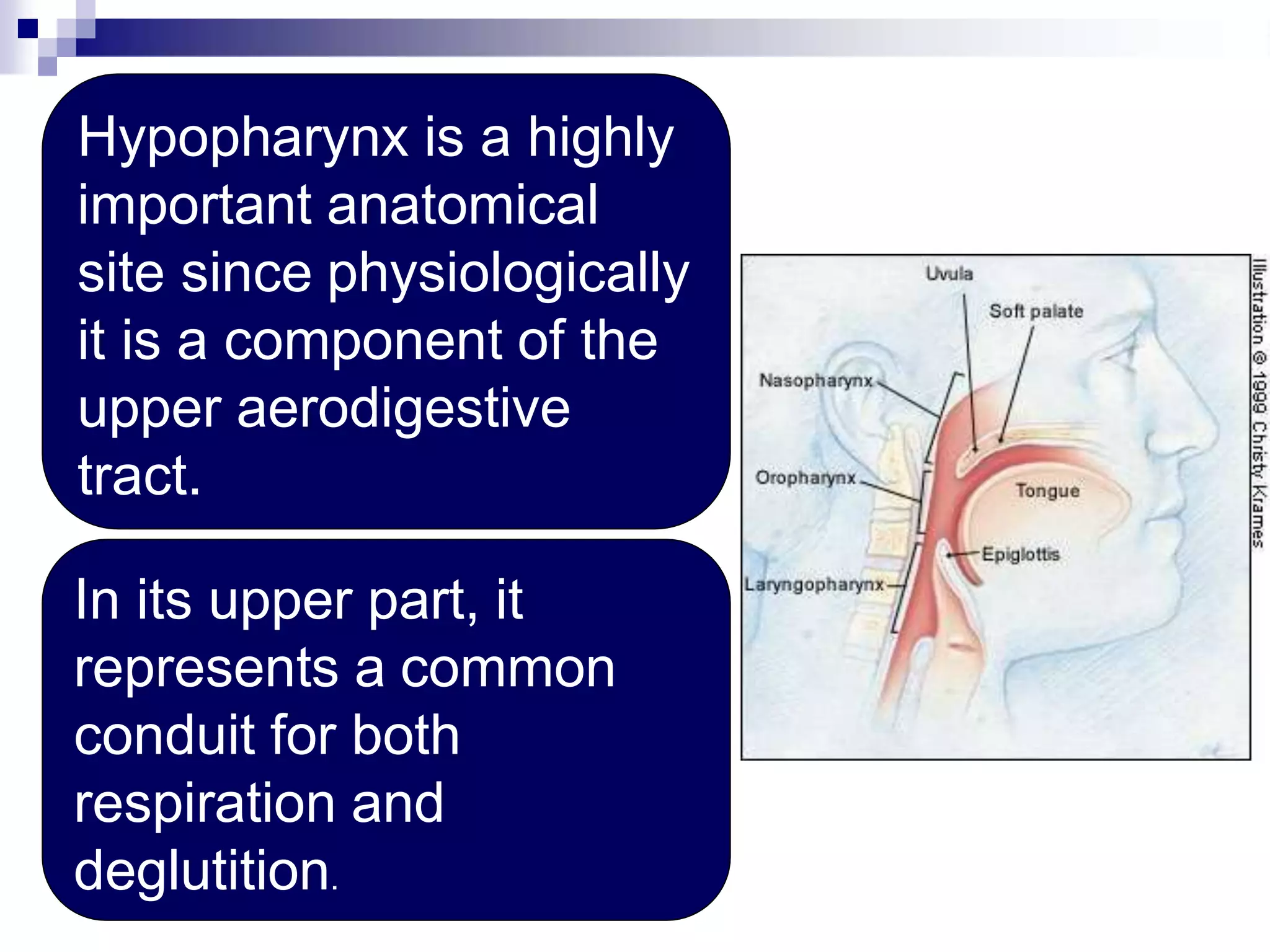 Throat_Pharynx_Carcinoma Hypopharynx_ENT_lectures-2.pptx
