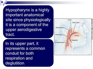 Throat_Pharynx_Carcinoma Hypopharynx_ENT_lectures-2.pptx