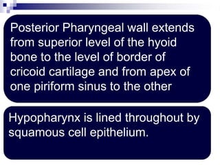 Throat_Pharynx_Carcinoma Hypopharynx_ENT_lectures-2.pptx