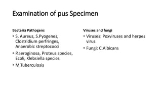 Throat Swab, Sputum and Pus.pptx
