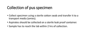 Throat Swab, Sputum and Pus.pptx