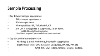 Throat Swab, Sputum and Pus.pptx