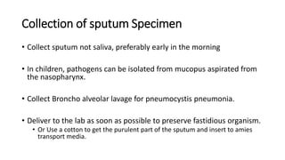 Throat Swab, Sputum and Pus.pptx