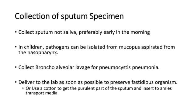 Throat Swab, Sputum and Pus.pptx | Ear, Nose and Throat Conditions ...