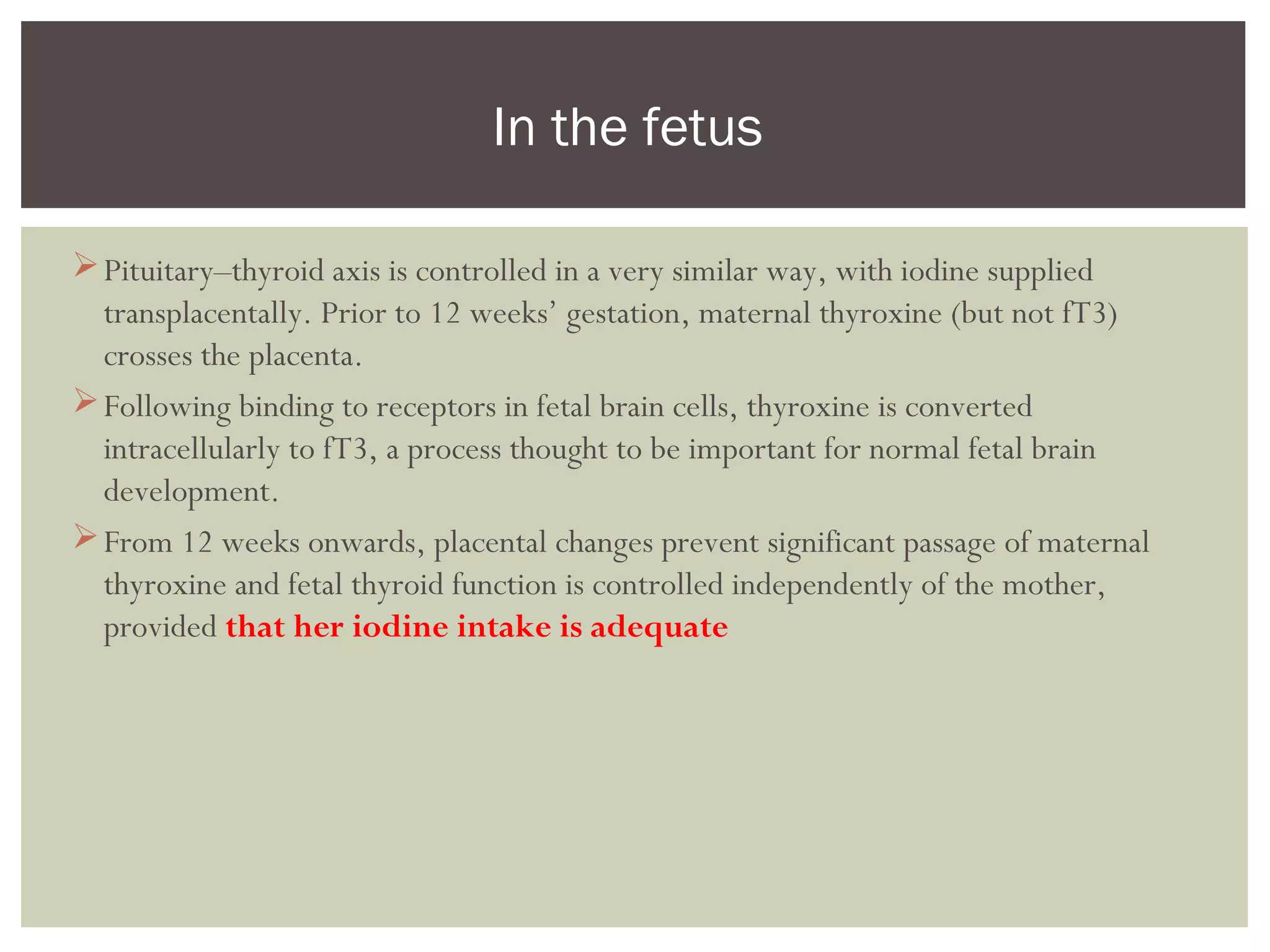 Thyroid Disorders In Pregnancy | PPT