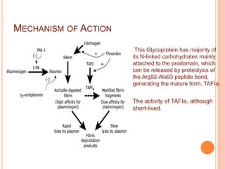Thrombin activable fibrinolysis inhibitor (tafi) role | PPTX