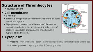 Thrombocytes .pdf
