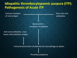 Idiopathic Thrombocytopenic Purpura Pathophysiology