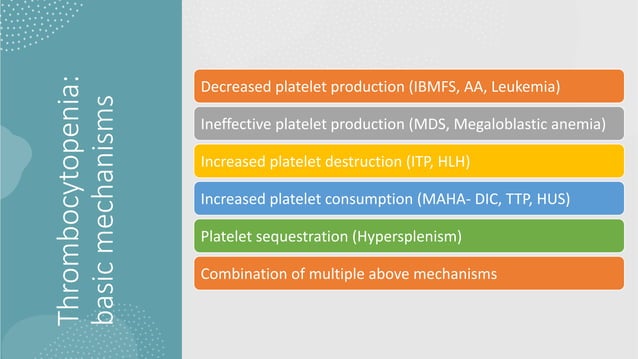 Approach to thrombocytopenia.pptx | Blood Disorders | Diseases and ...