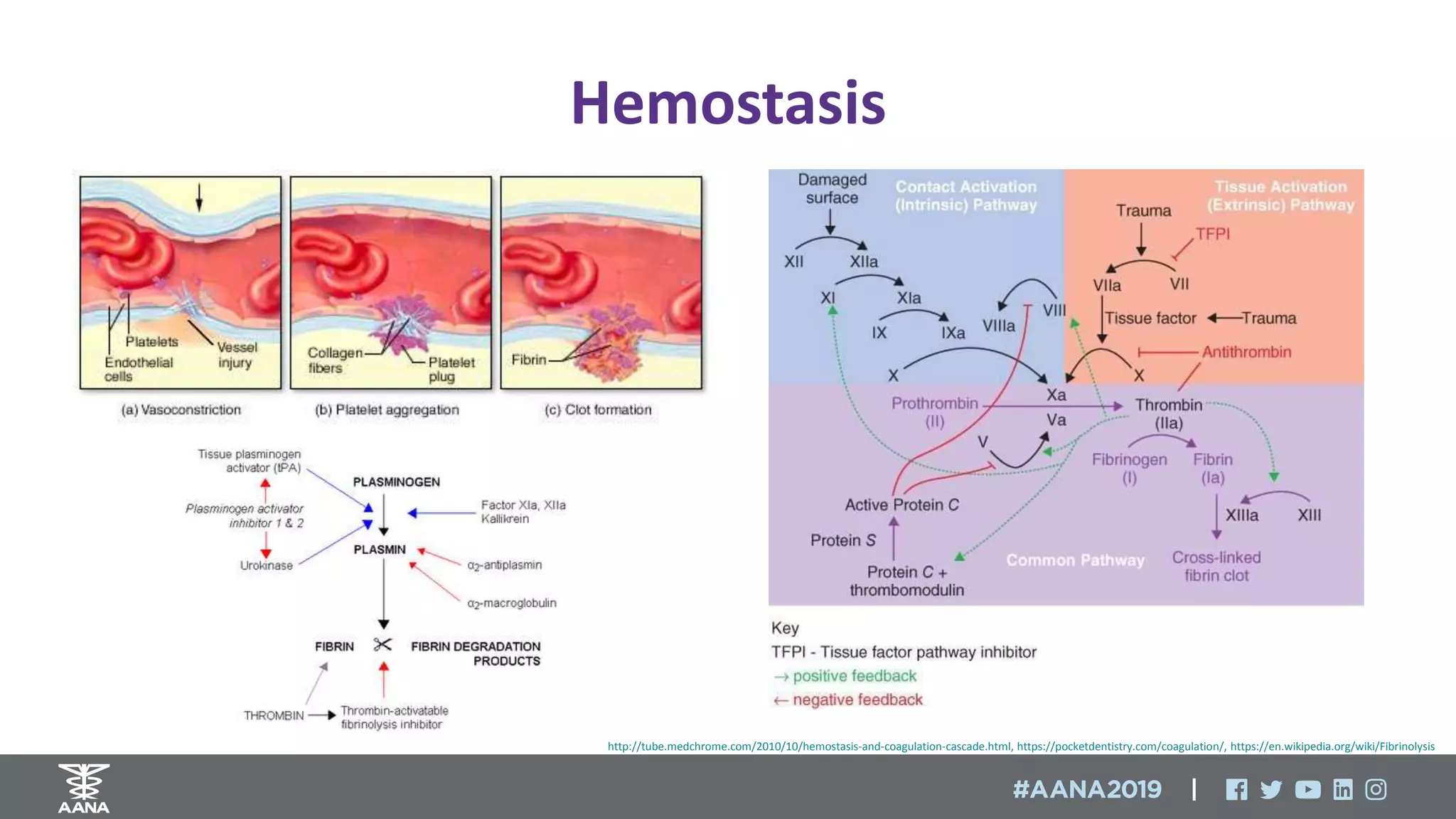 Thromboelastography-Final-Presentation.pptx