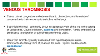 Thromboembolic vascular occlusion lecture.pdf