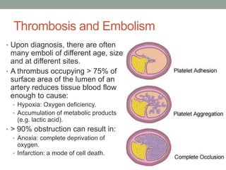 Thromboembolism and Elderly | PPTX