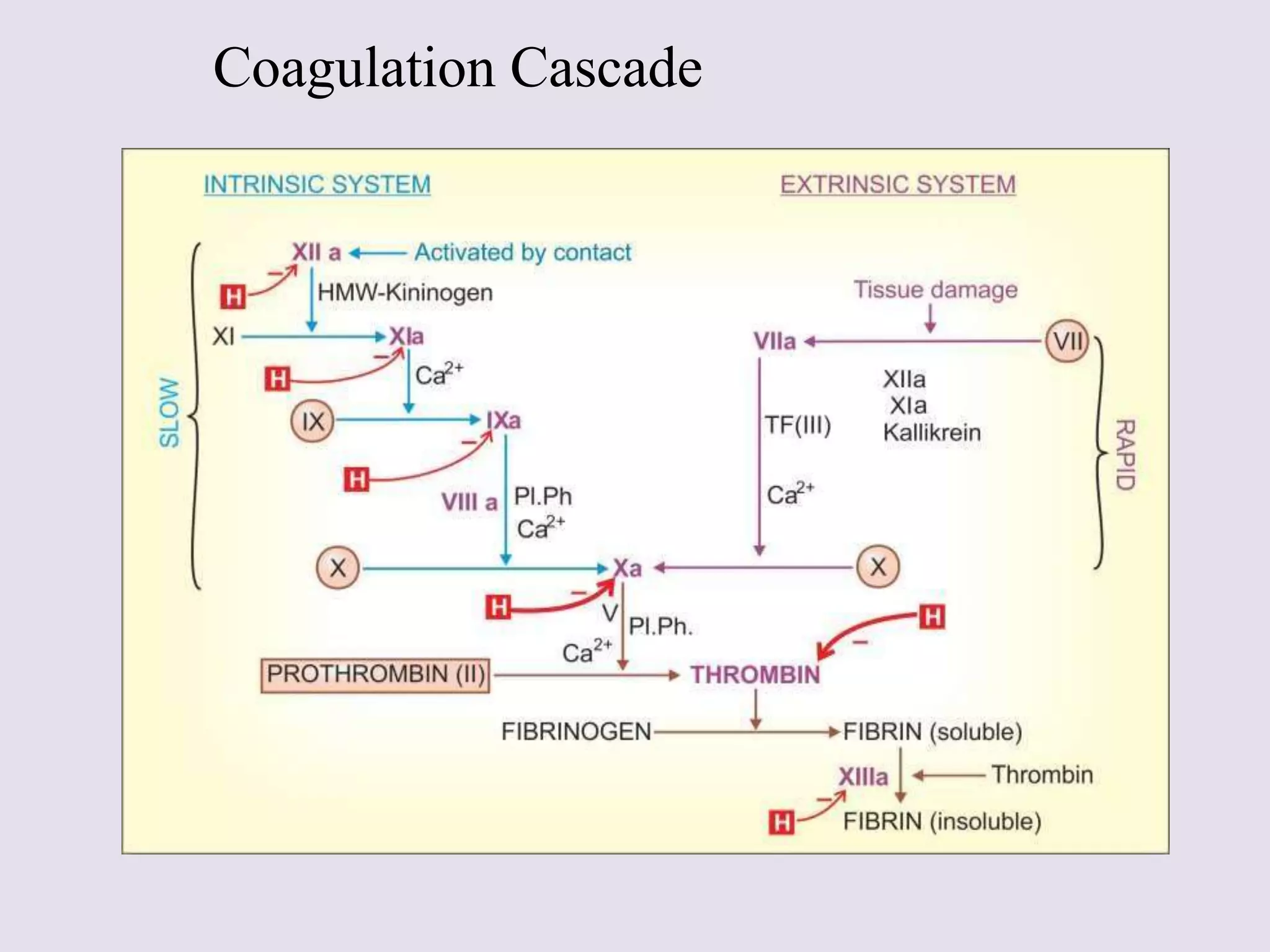 Thrombolytics and Fibrinolytics | PPTX