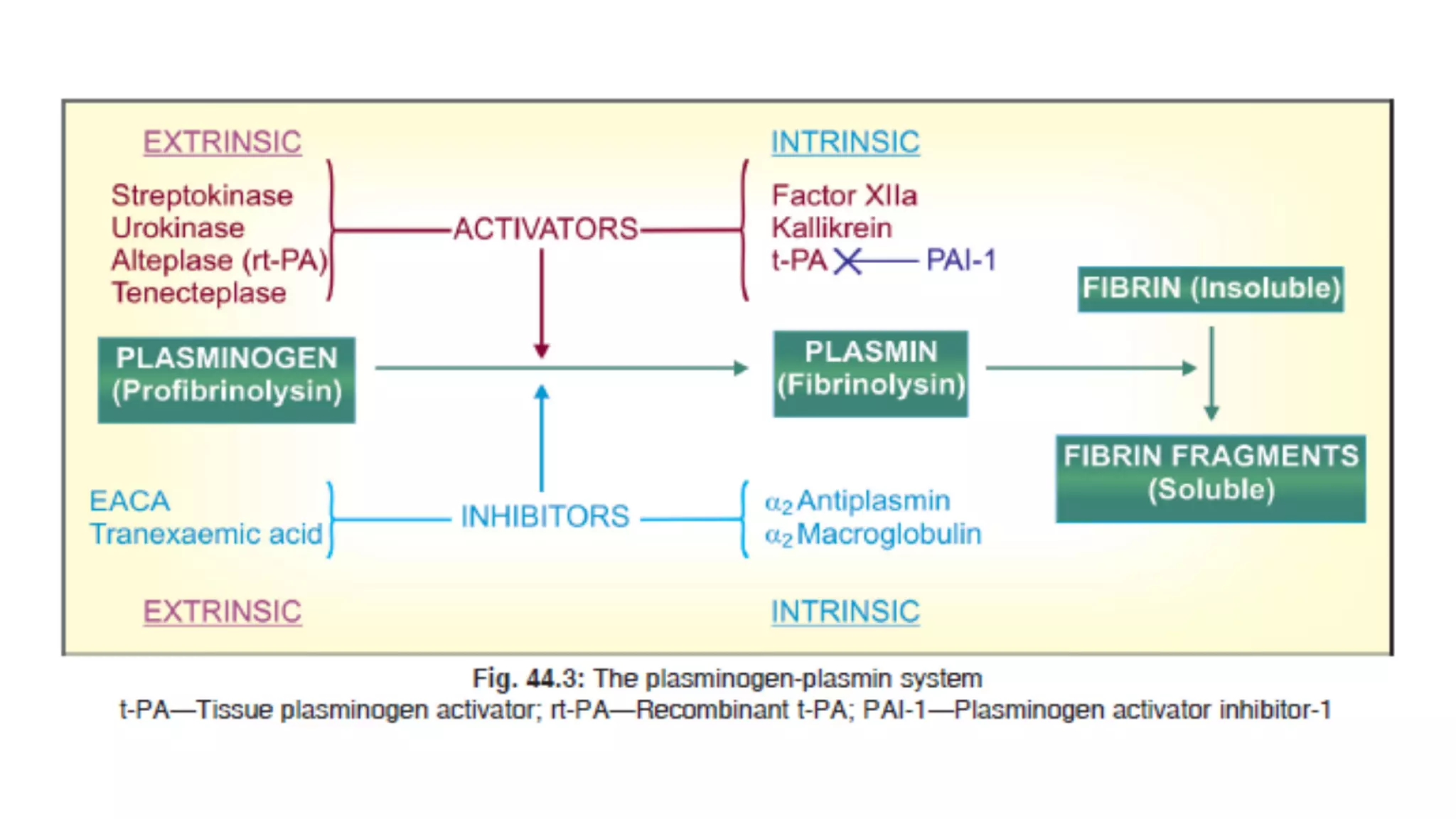 Thrombolytics | PPT