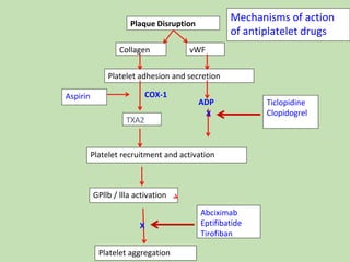 Thrombolytics, anticoagulants & antiplatelets | PPT