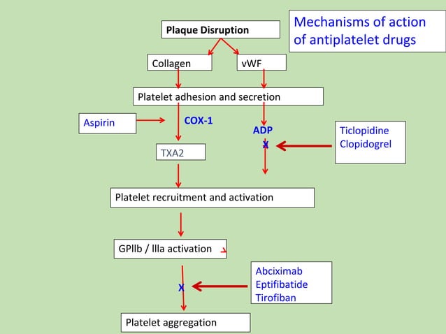 Thrombolytics, anticoagulants & antiplatelets | PPT