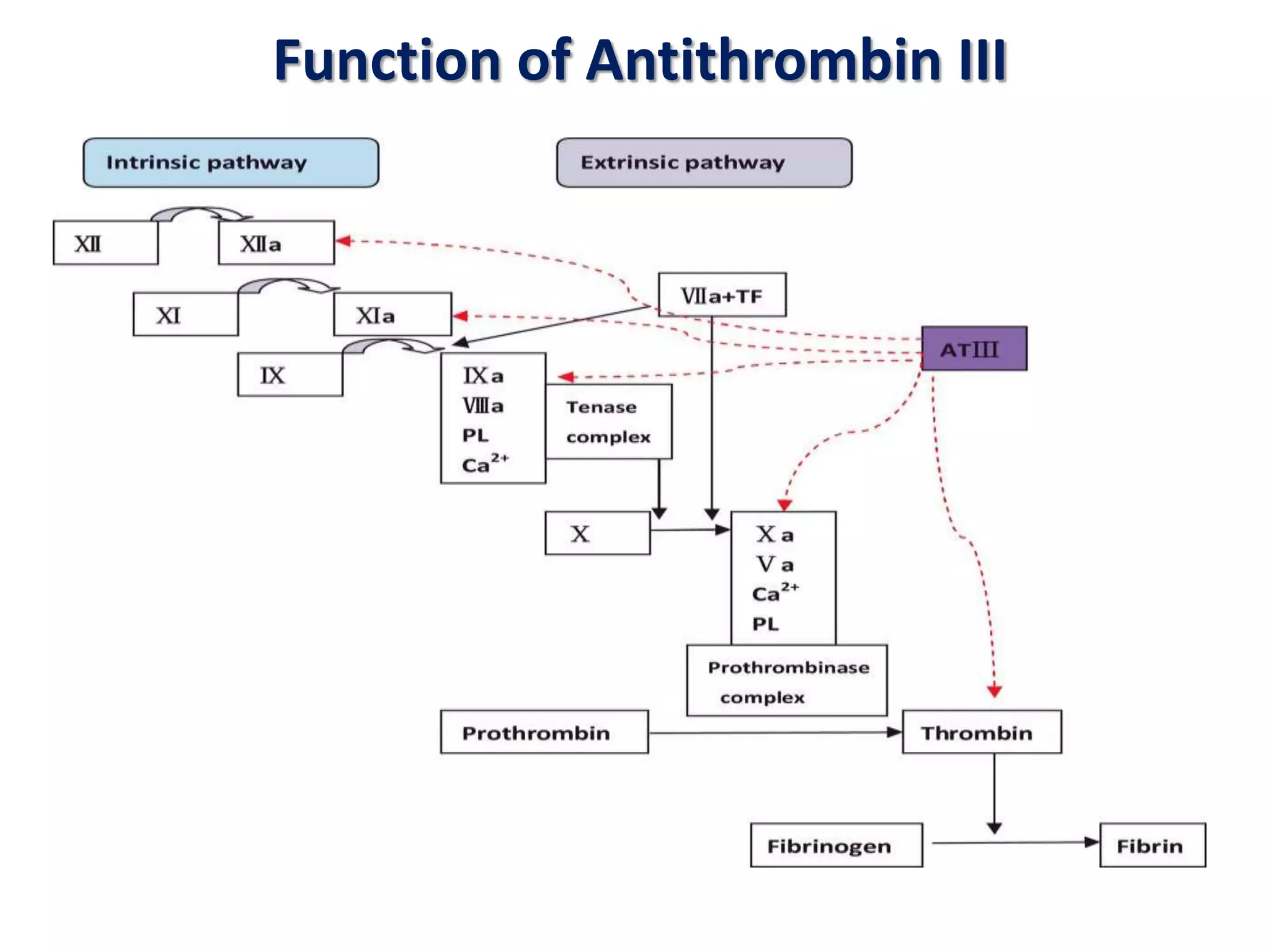 Thrombophilia | PPTX