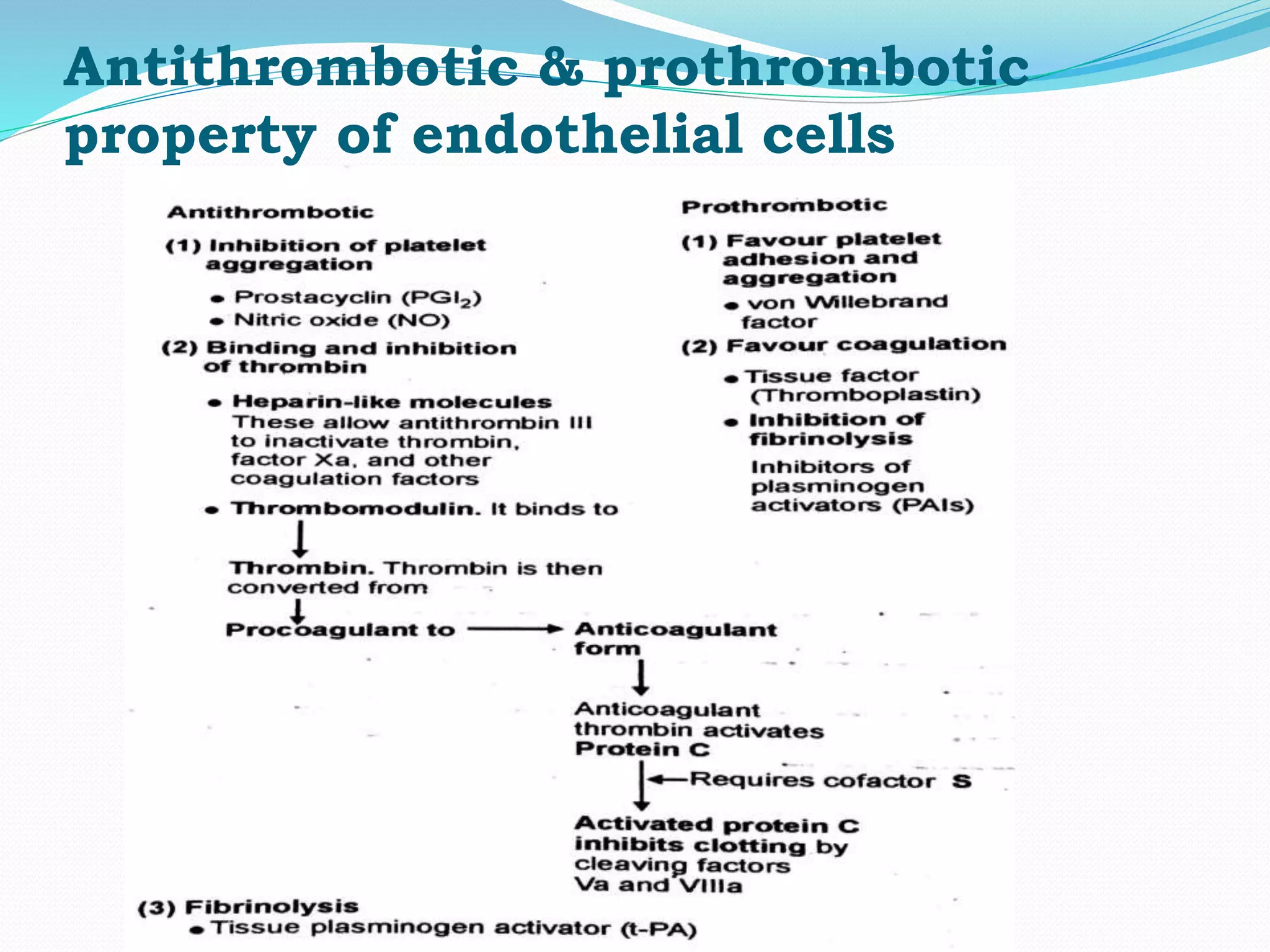 Thrombosis | PPTX