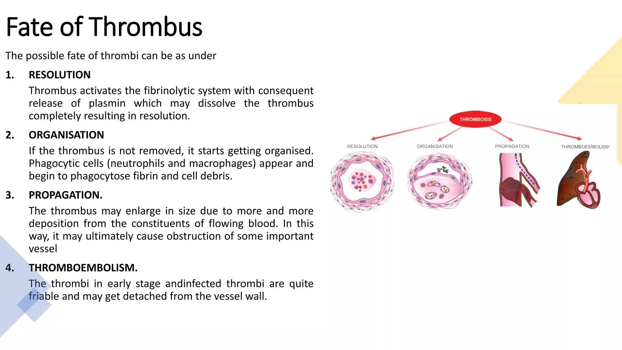 Thrombosis | PDF | Blood Disorders | Diseases and Conditions
