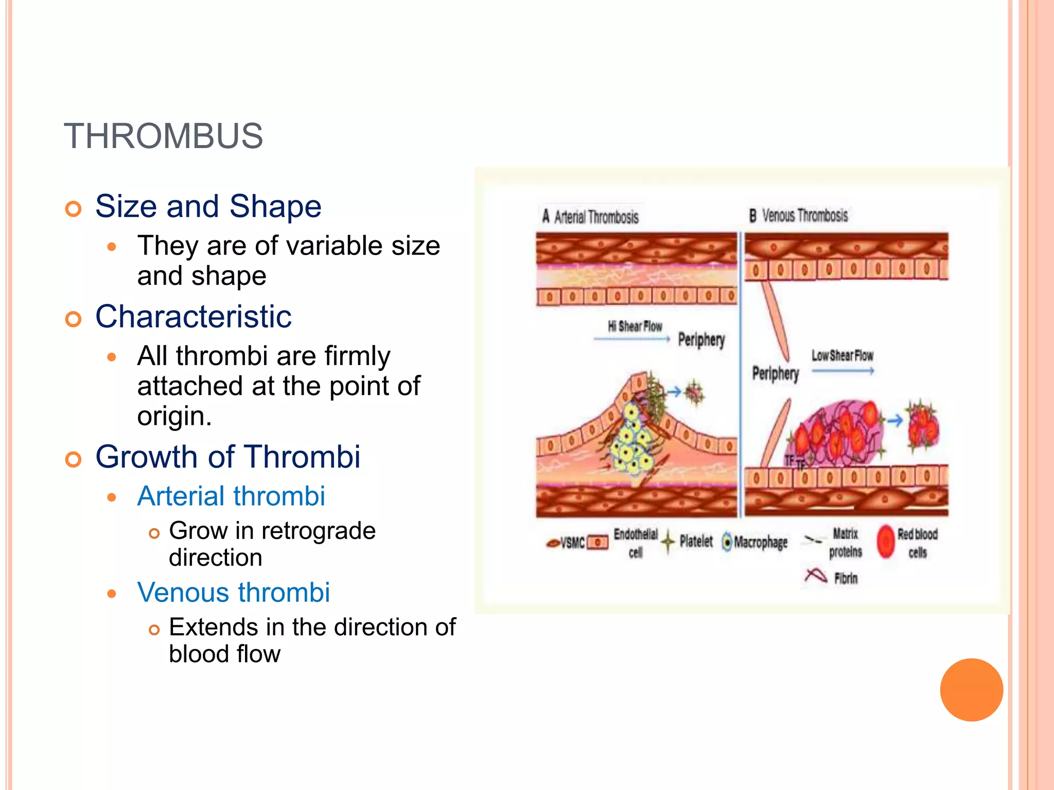 Thrombosis | PPTX