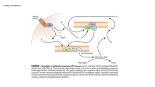 THROMBOSIS coagulation pathway and approach.pptx