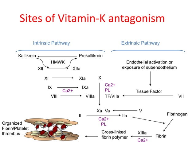 Thrombosis - KSUMSChhdhhhrhgggheyryy.ppt