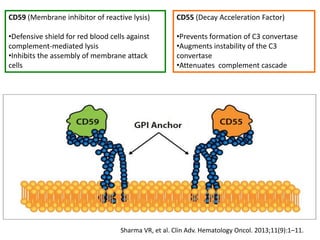 Thrombosis Case Study | PDF | Blood Disorders | Diseases and Conditions