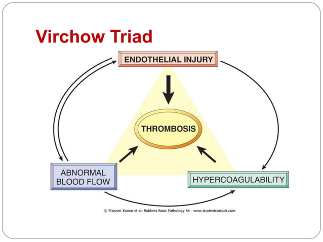 Thrombosis, embolism and infarction | PPTX | Blood Disorders | Diseases ...