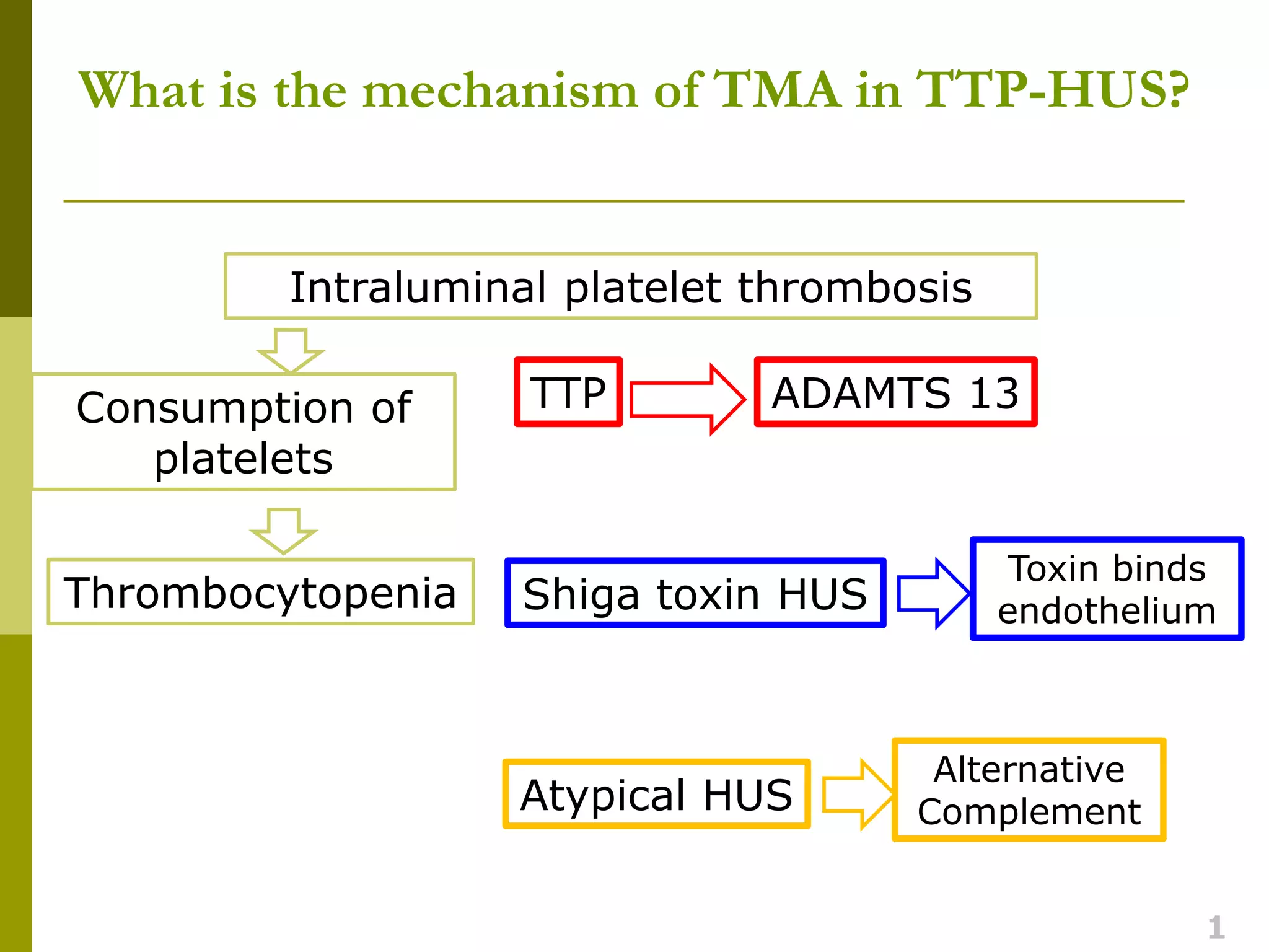 Thrombotic microangiopathy | PPTX