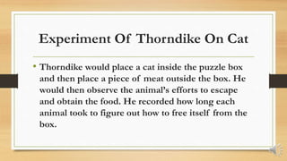 Edward Thorndike law of effect, Theory of Learning, Trial and Error ...