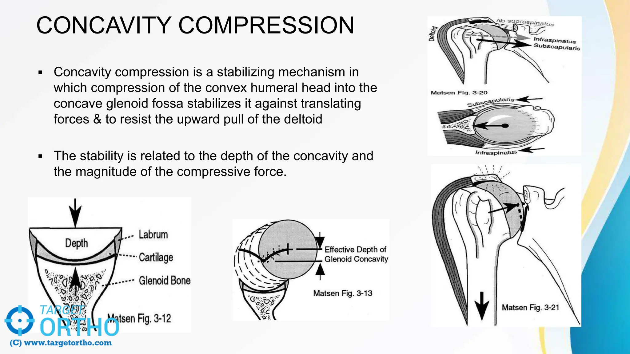 THROWING-BIOMECHANICS-NEW.pdf throwing health care | PDF