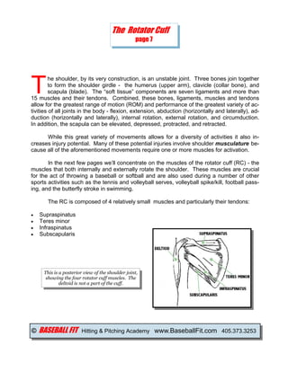 Throwing workouts | PDF