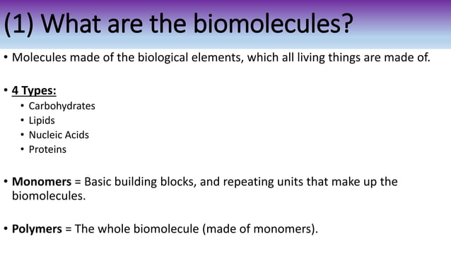 Ths general biology unit 2 our bodies biomolecule notes_v1516 | PPT