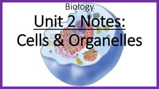 Ths general biology unit 2 our bodies cells and organelles notes_v1516 ...