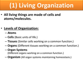 Ths general biology unit 2 our bodies living organization notes_v1516 | PPT