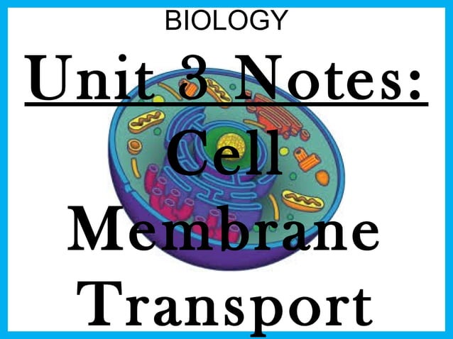 Ths general biology unit 3 cell processes cell membrane transport notes ...